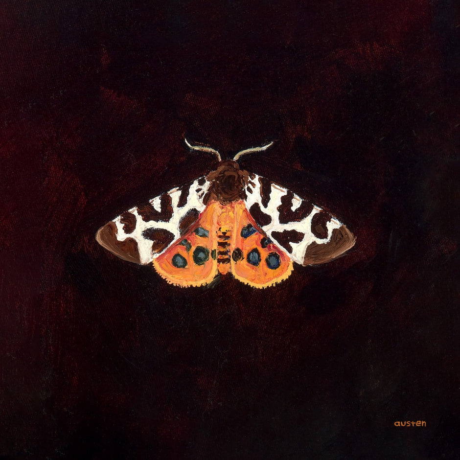 Austen Gordon Studio - Original Art | Prints | Ceramics | Artclub